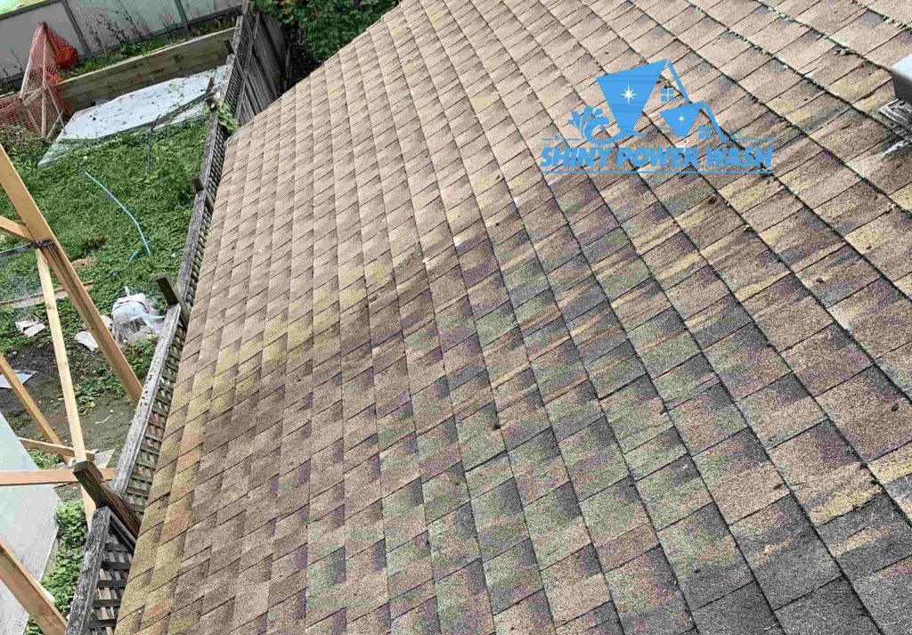 Roof Cleaning and Maintenance - How to Get Your Roof Cleaned Properly ...